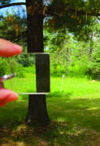 Forest Inventory Sampling Methods for the Woodlot - Grit